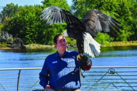 Experiences | National Eagle Center