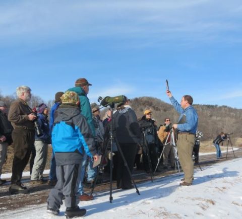 Eagle Viewing - National Eagle Center