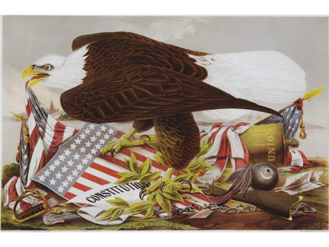 American Eagle Collection - National Eagle Center