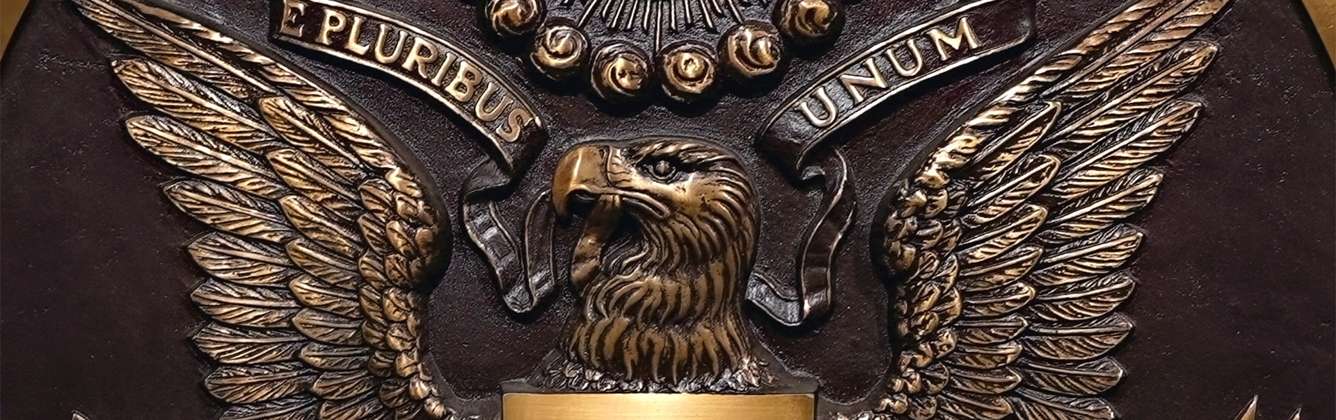 American Eagle Collection - National Eagle Center