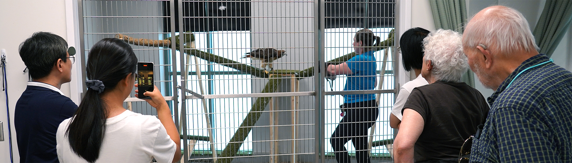 Behind the Scenes Request - National Eagle Center
