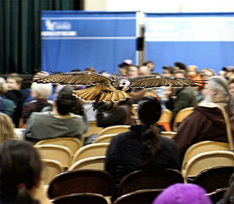 SOAR Event Page - National Eagle Center