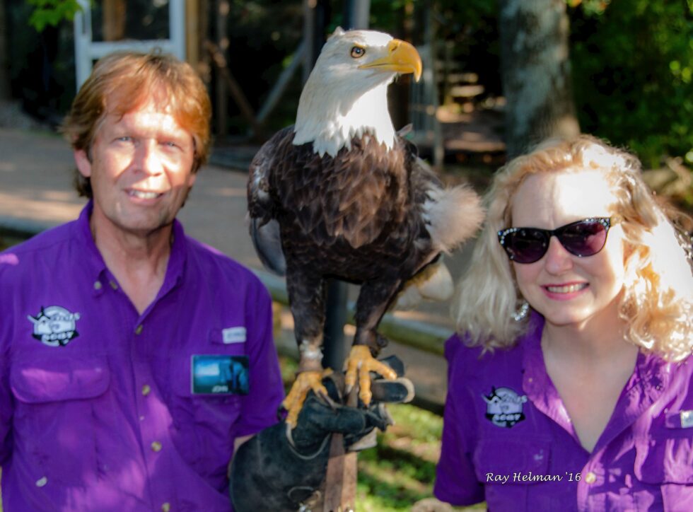 Homepage - National Eagle Center